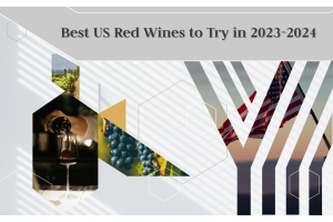 Best Italian red wines by region in 2024