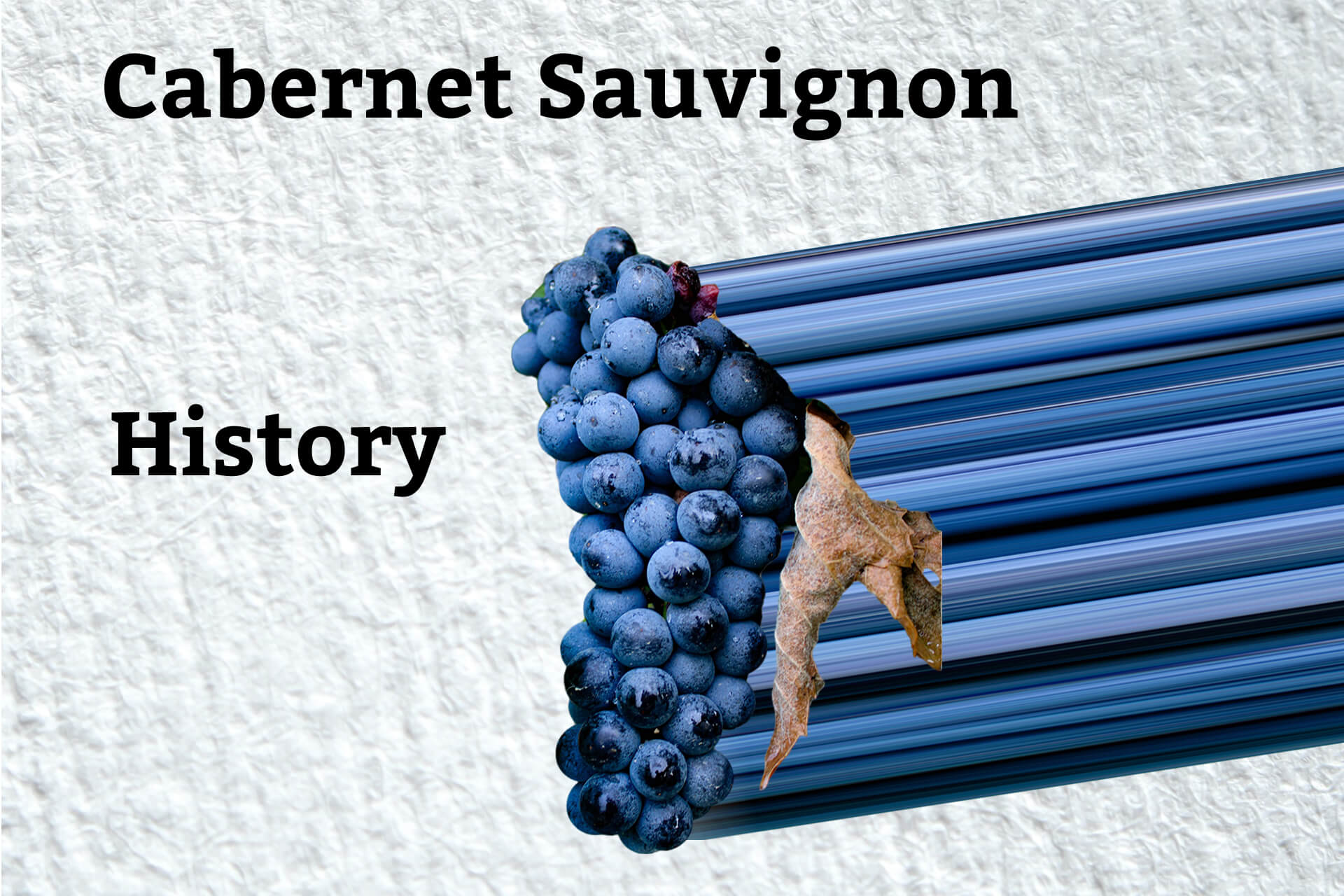 The Ultimate Guide to Cabernet Sauvignon for Any Budget