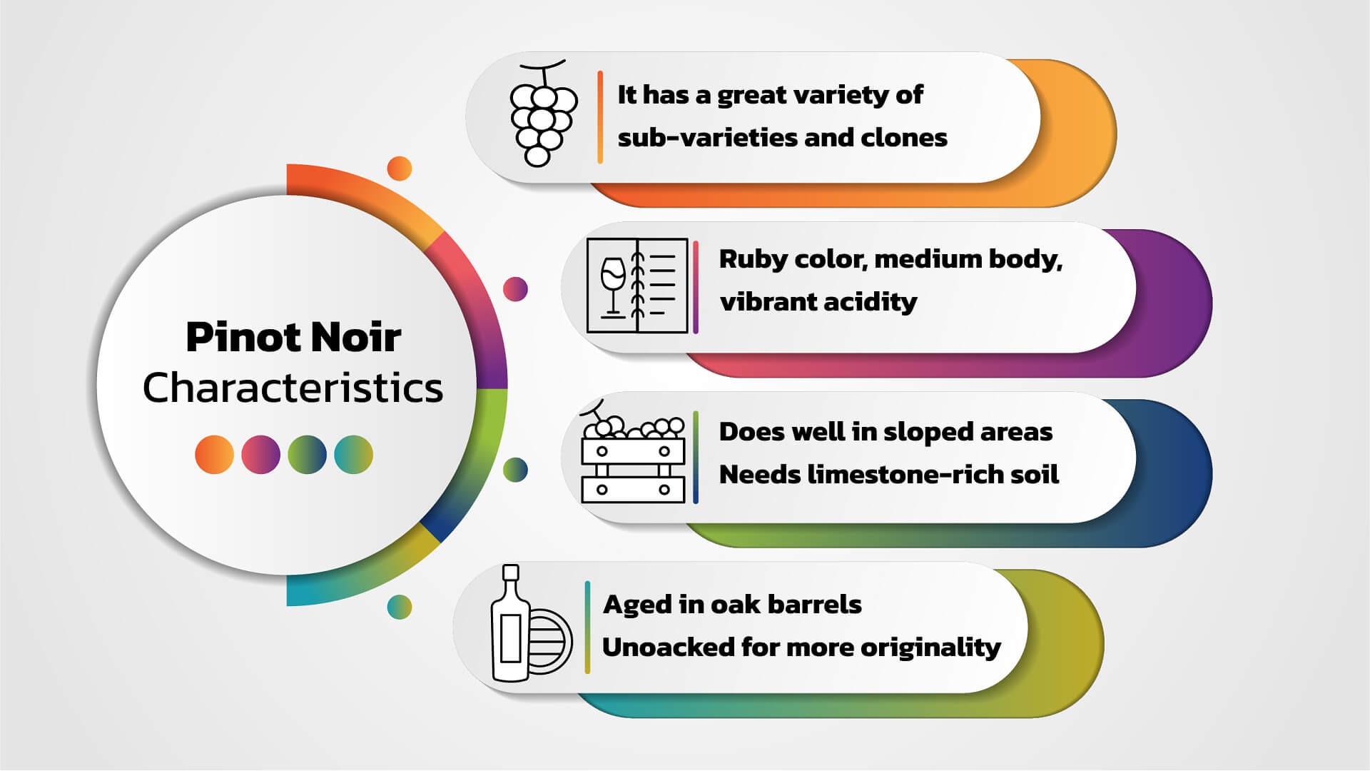 The Pinot Noir Grape: A Comprehensive Guide