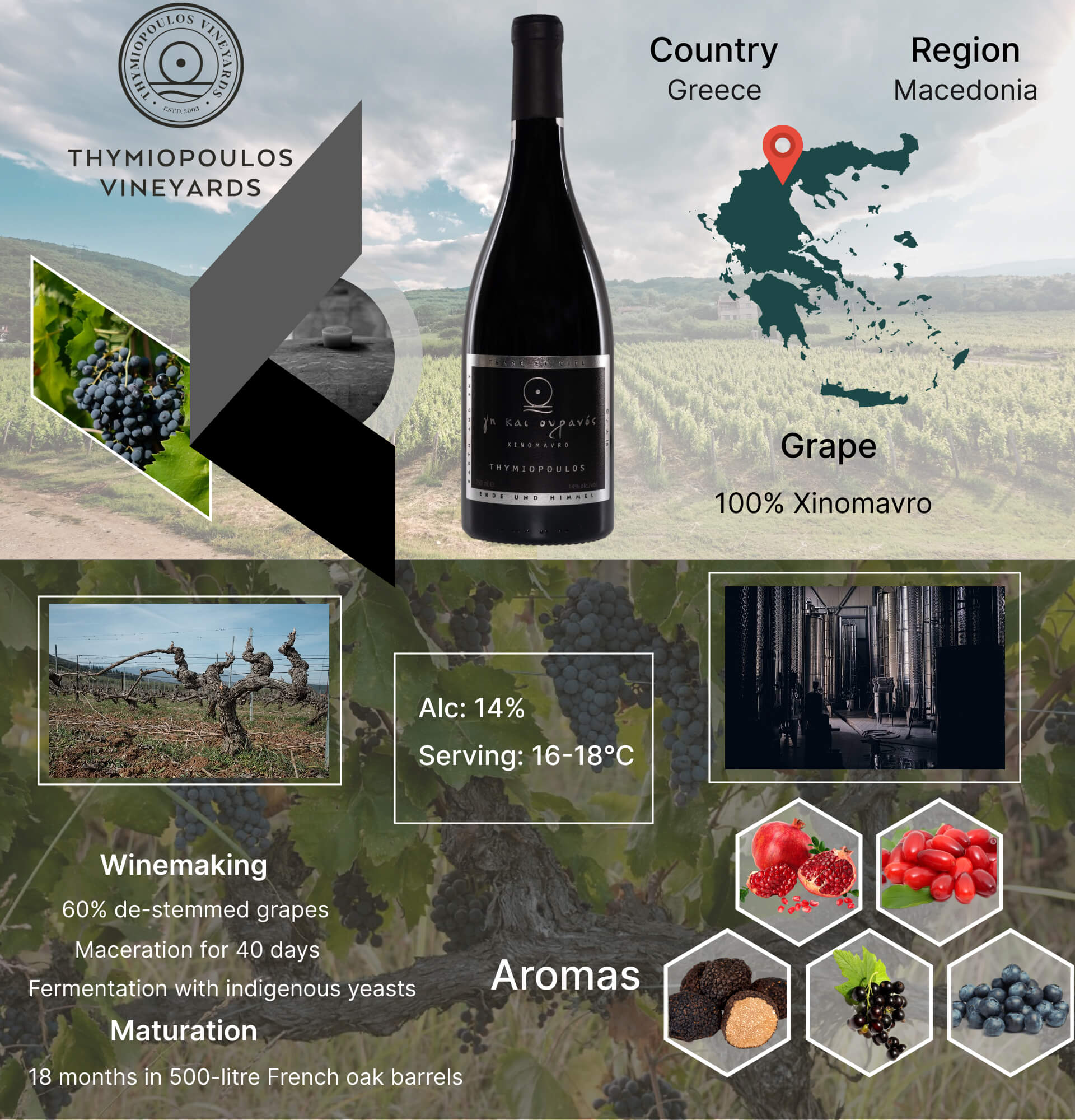 Six alternative & exciting new wines from emerging winemaking hotspots