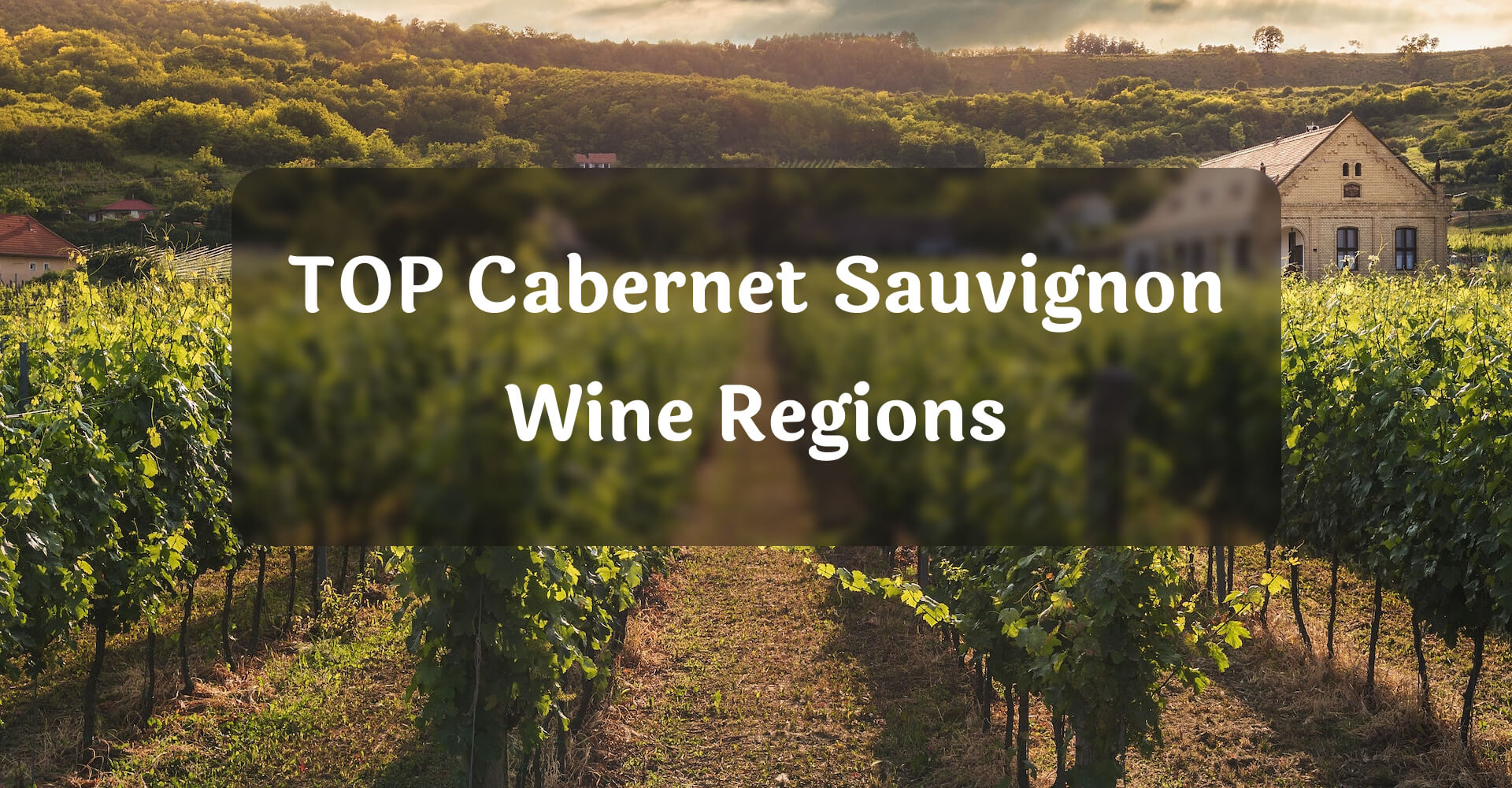 The Ultimate Guide to Cabernet Sauvignon for Any Budget